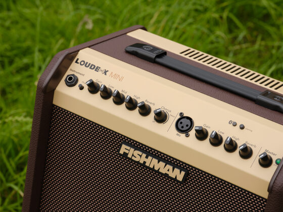 Fishman Loudbox Mini - Reviewed | Music Instrument News